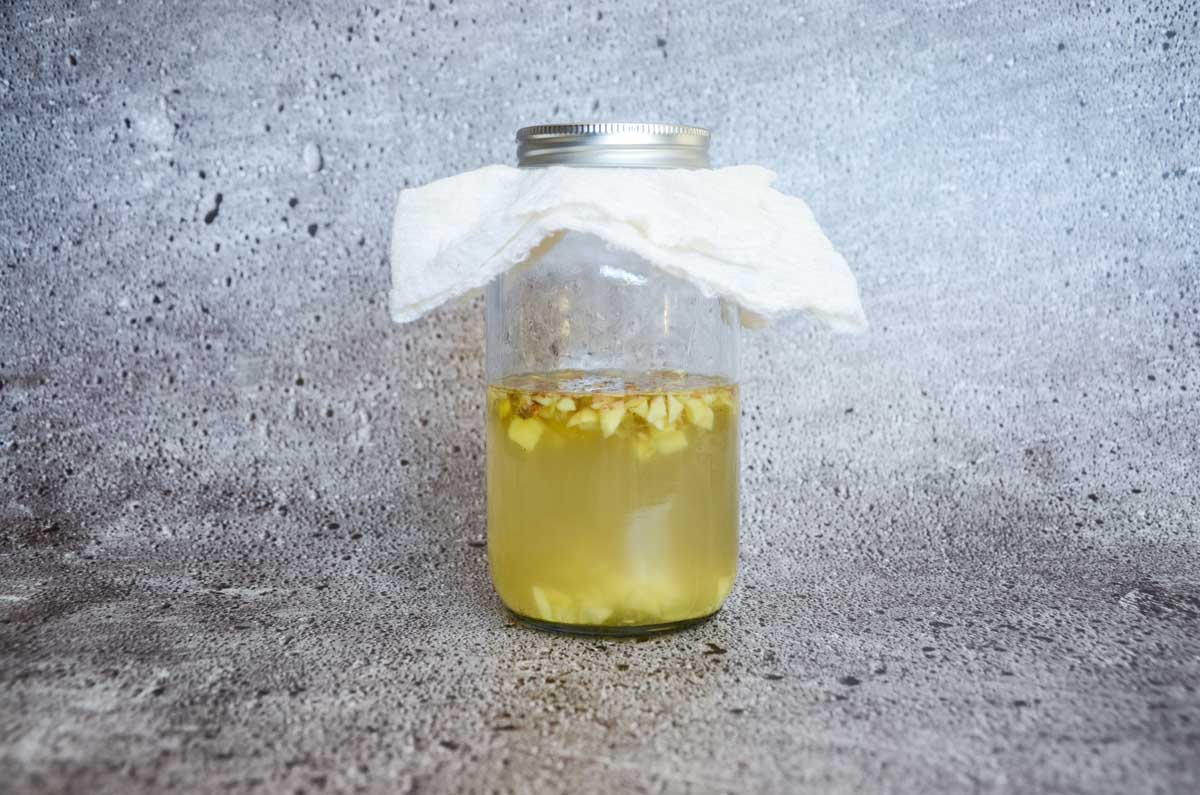 Homemade Ginger Bug Recipe - Lockrem Homestead