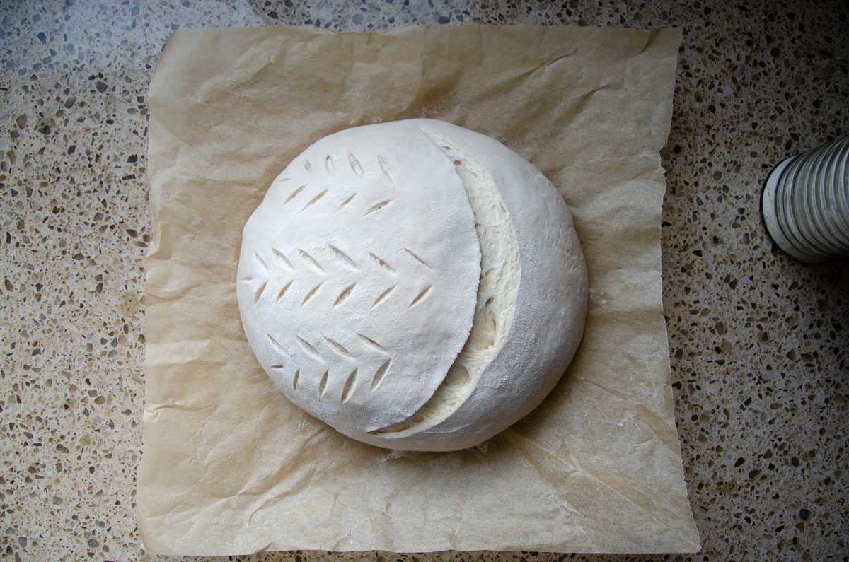 How To Freeze Sourdough Bread Dough - Lockrem Homestead