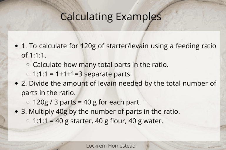 Sourdough Starter Ratios (With Calculator) - Lockrem Homestead