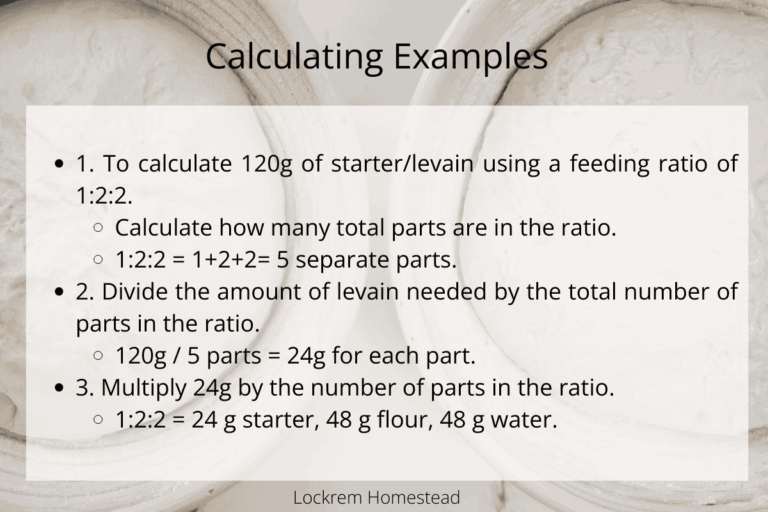 Sourdough Starter Ratios (With Calculator) - Lockrem Homestead