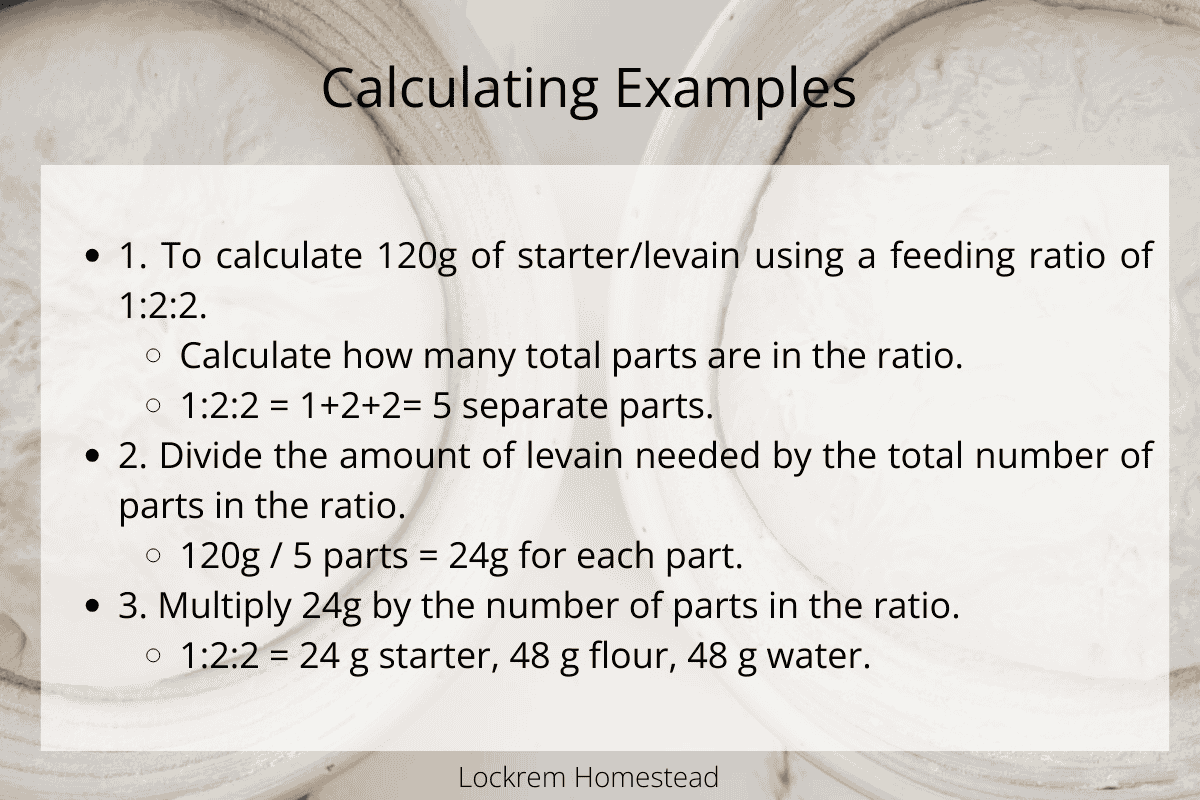 Sourdough Starter Ratios (With Calculator) - Lockrem Homestead